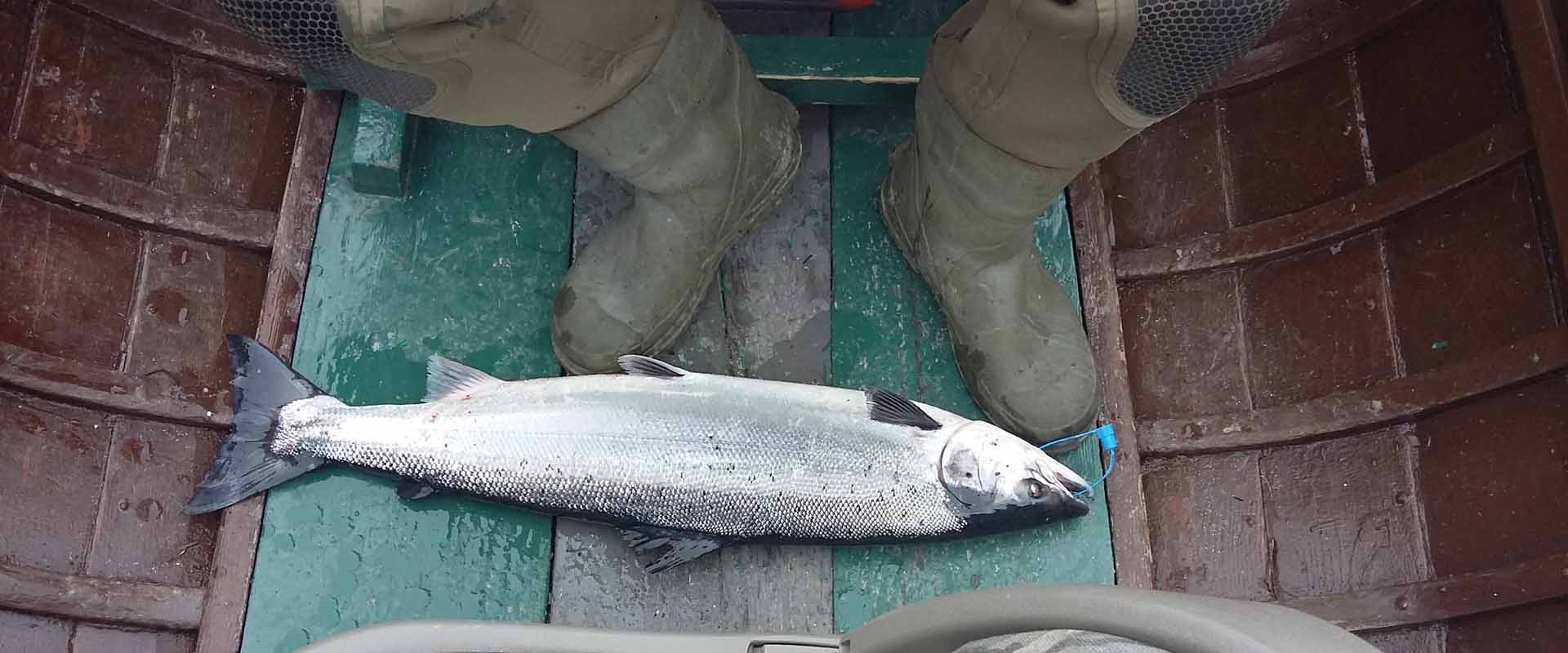 Photo Gallery – Fishing with Dom